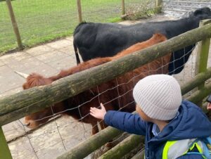 Year 1 Visit the Farm | Old Ford Primary Academy - Paradigm Trust
